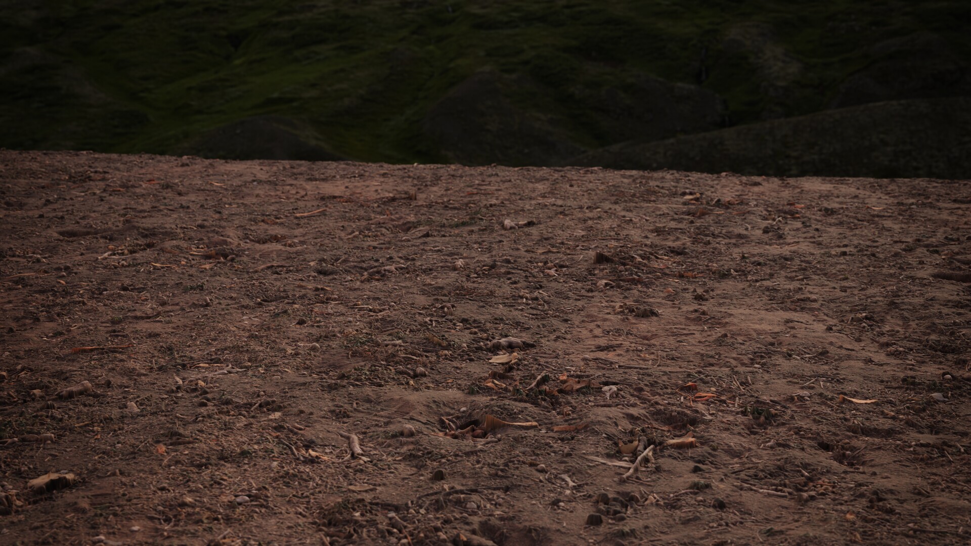 ArtStation - Australian Photogrammetry Textures