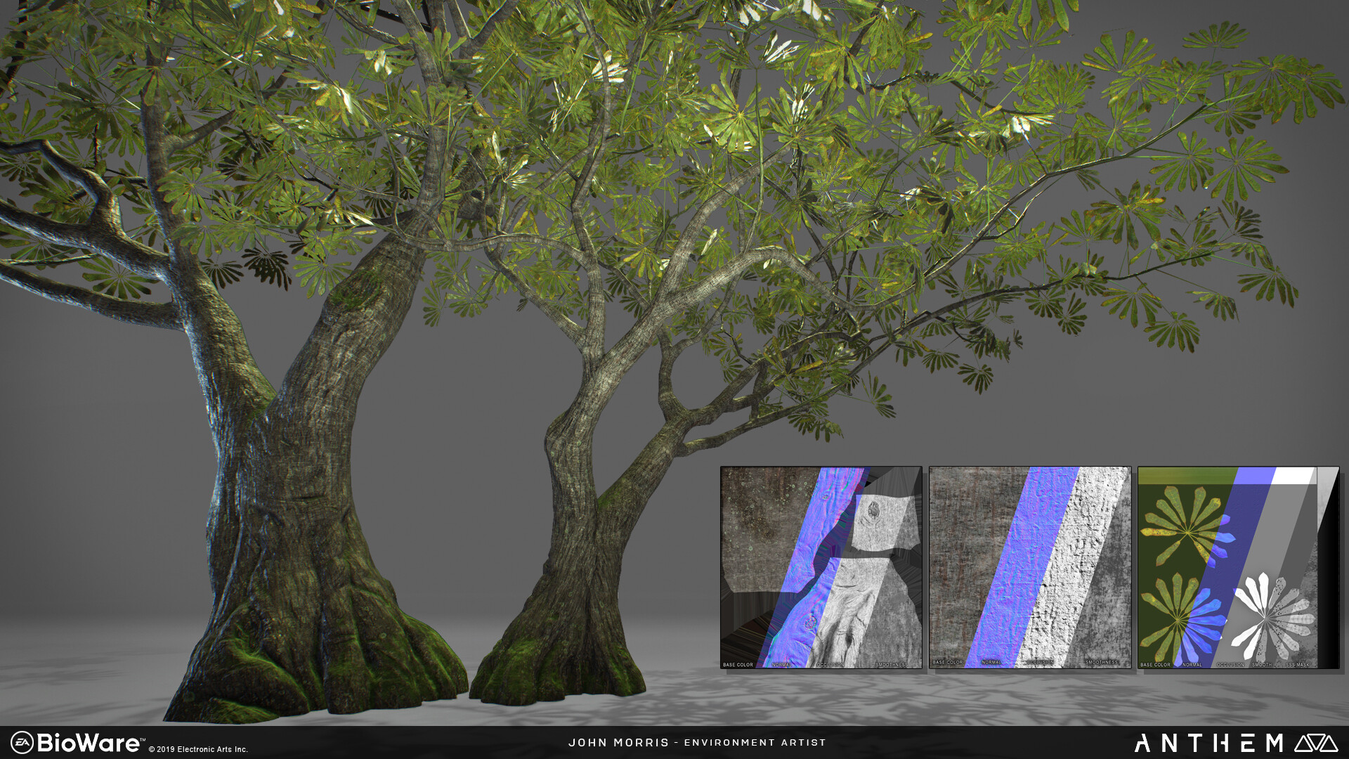 John Morris - Anthem: Foliage Assets