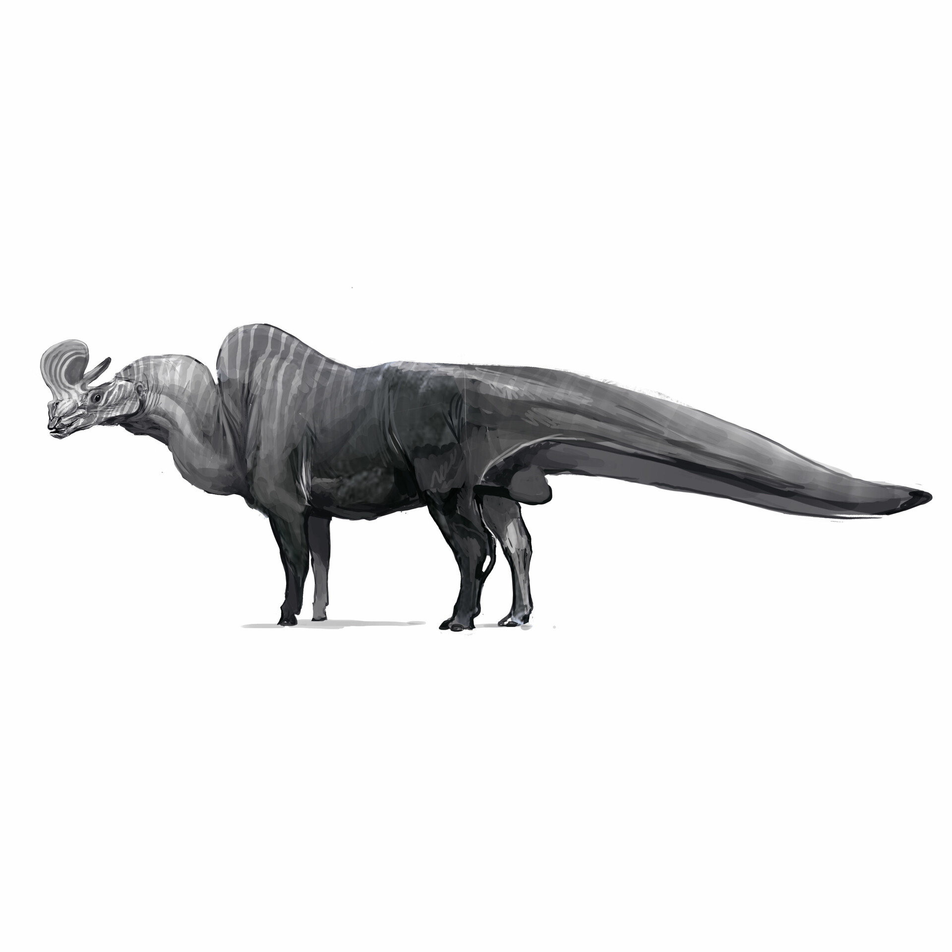 alexander-ostrowski-prey-2.jpg (1920×1920)-花瓣网