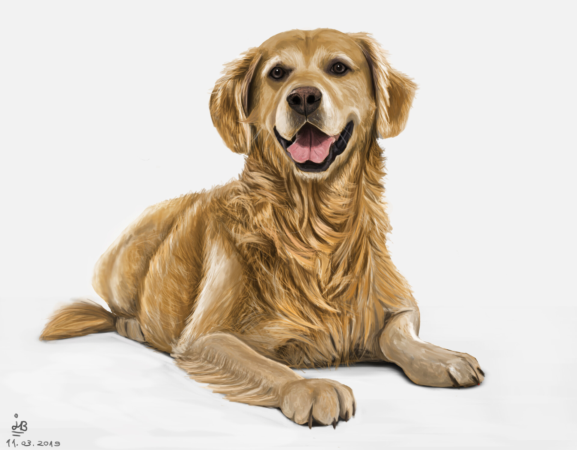 ArtStation - Dog Study