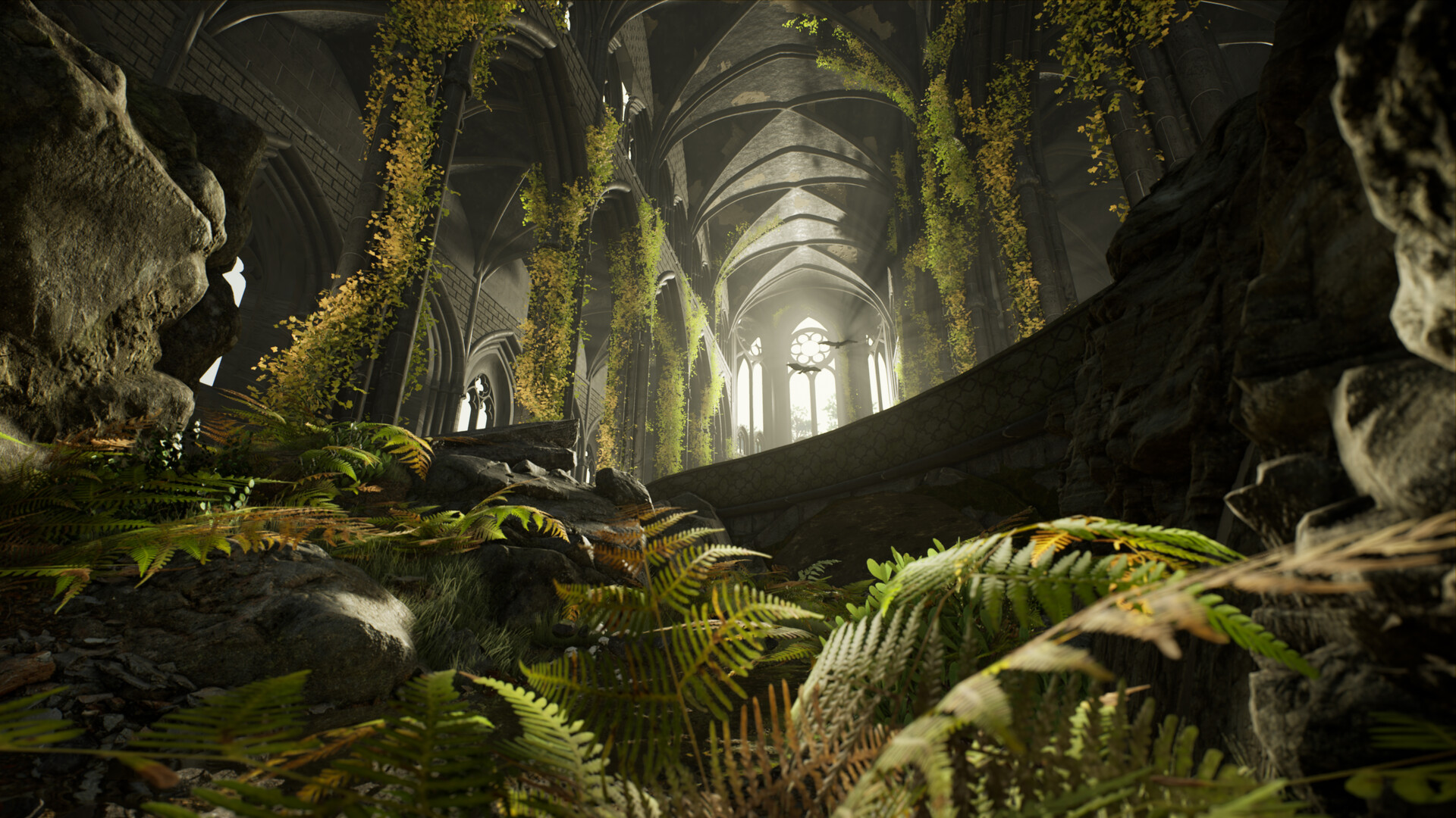 Bert Plasschaert - When nature wins