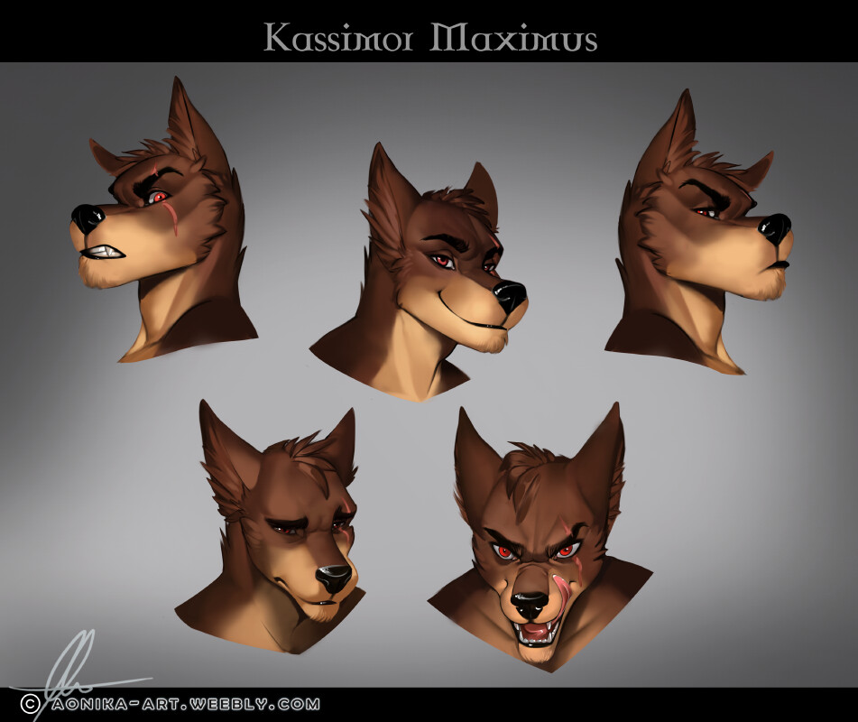 Monika Andruszkiewicz - Kassimor - reference sheet