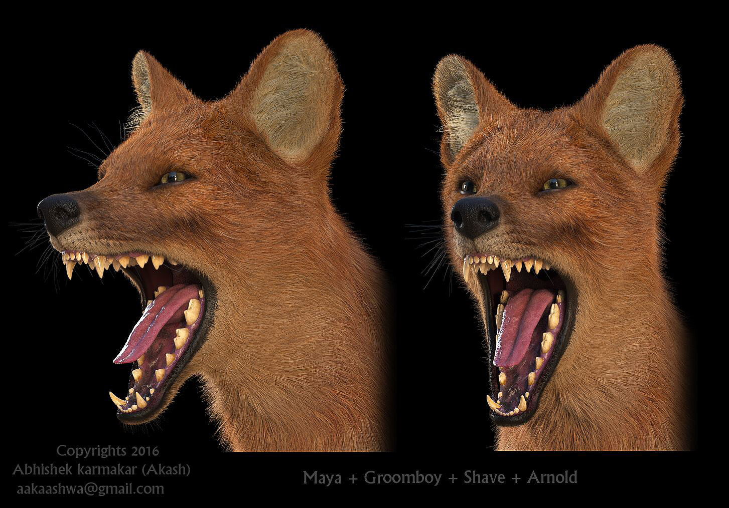 ArtStation - Dhole - Indian Wild Dog