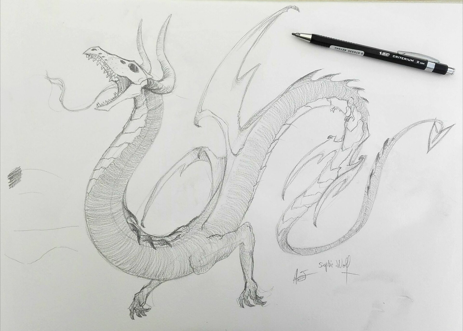 ArtStation - Dragon sketch