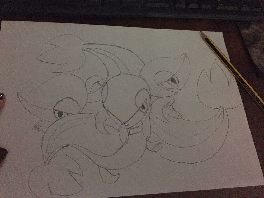 coloring pages pokemon snivy images