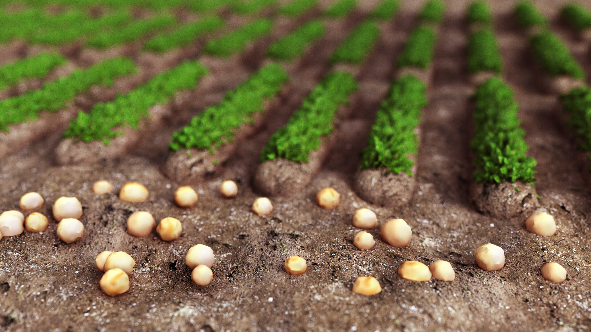 ArtStation - Potato melon