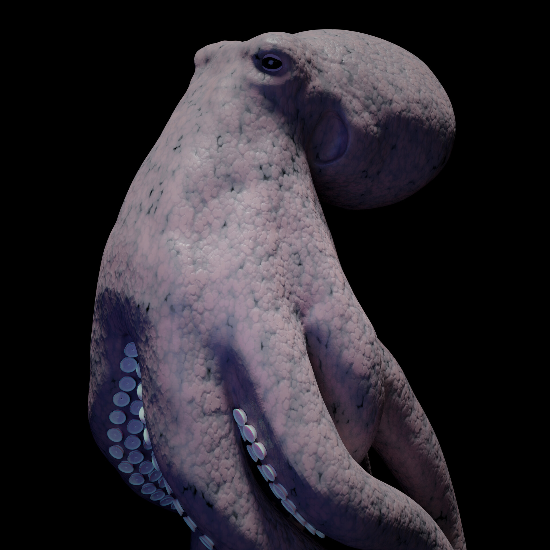 ArtStation - Octopus