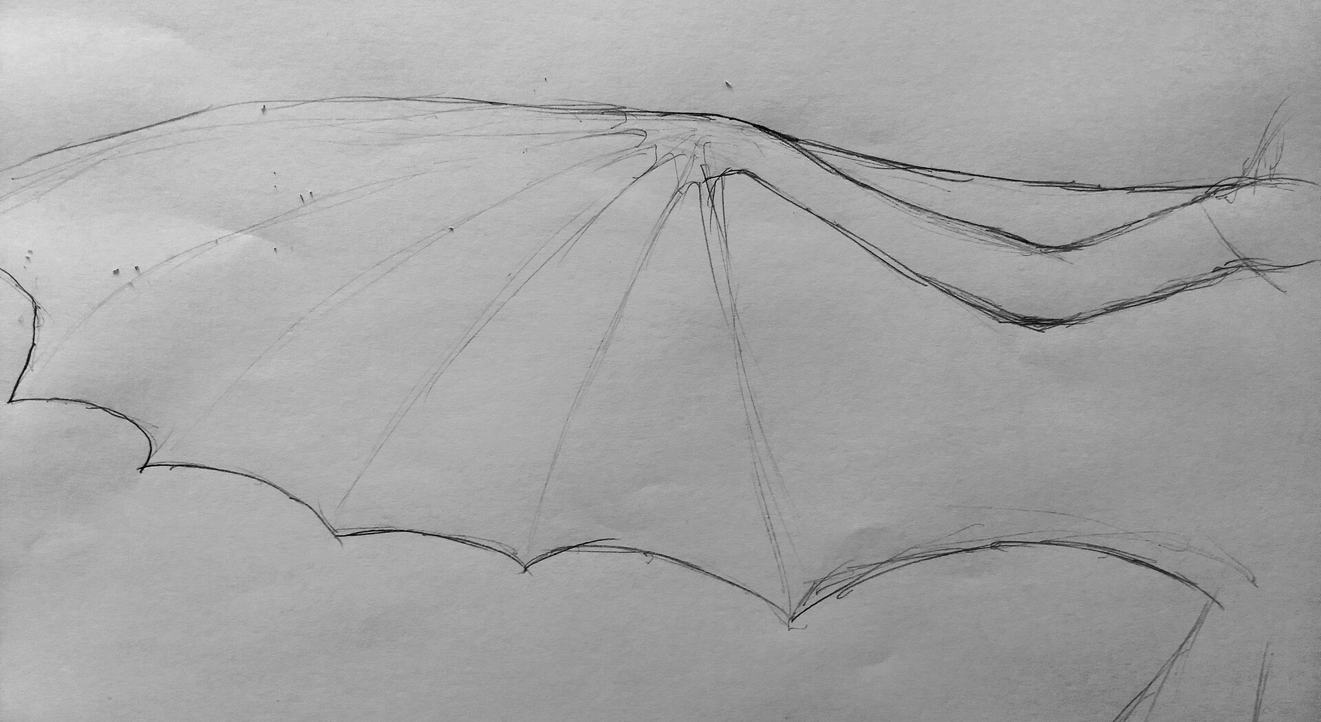 how to draw a realistic night fury