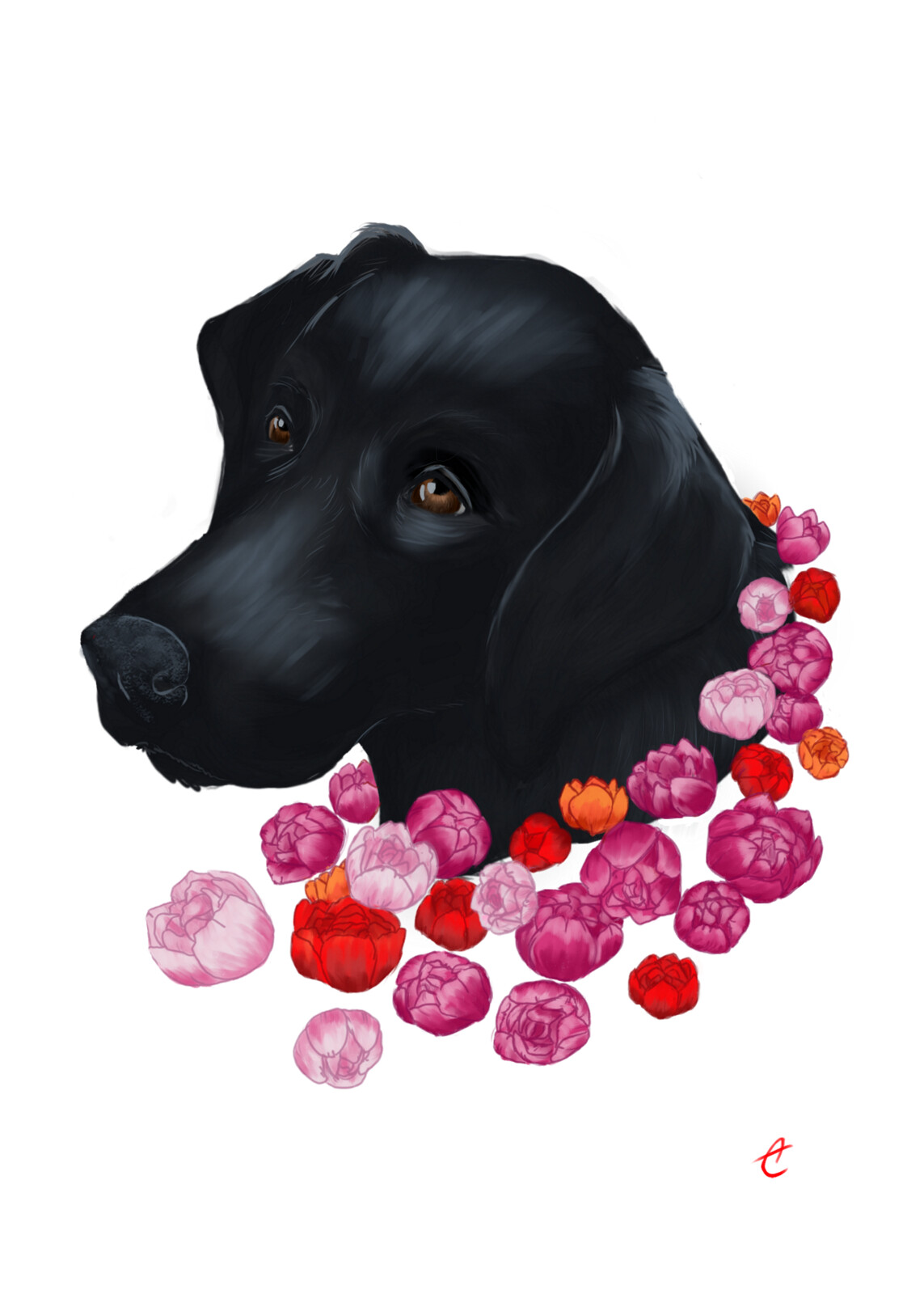 Anna Calhoun - Guinness