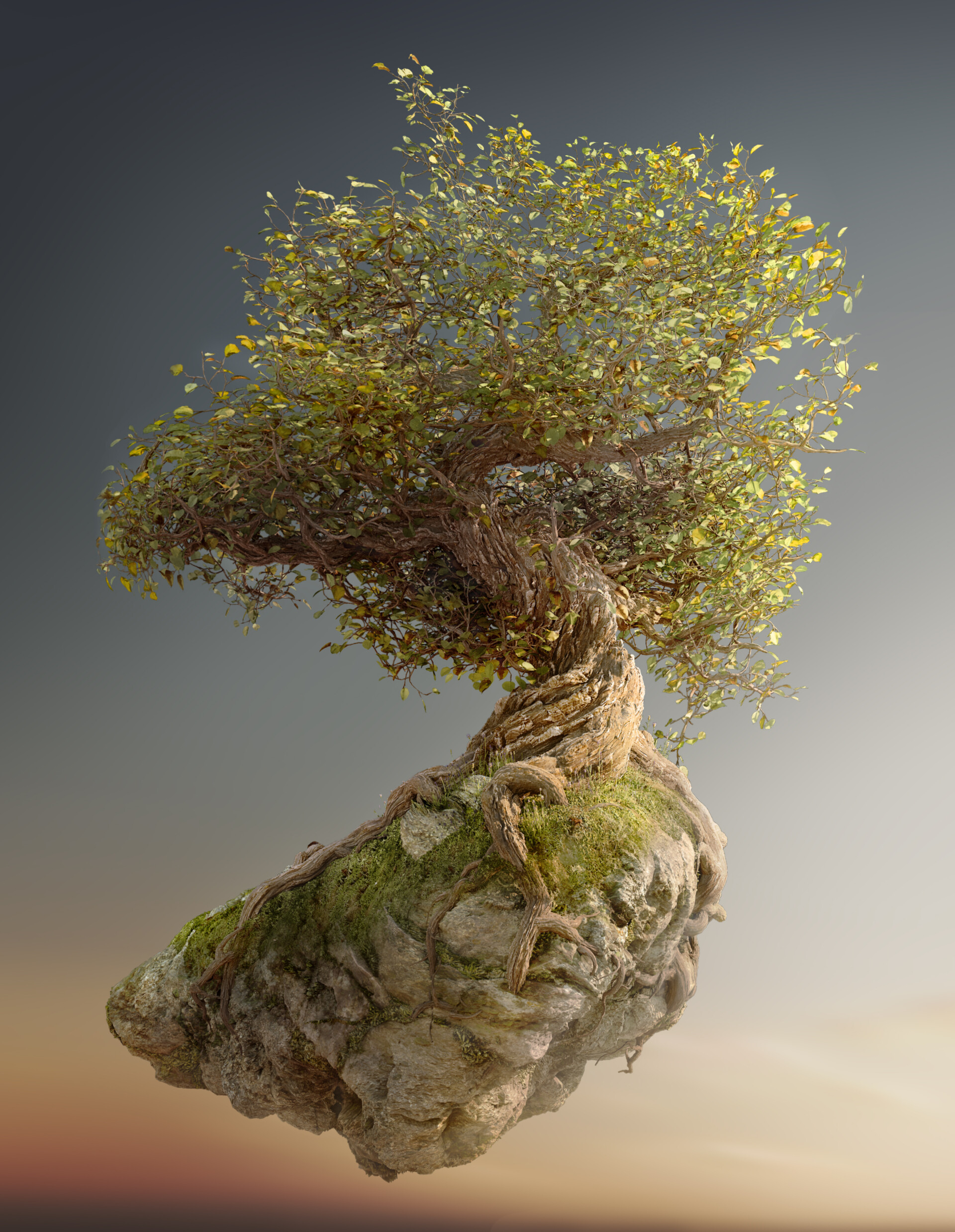 ArtStation - Old tree on floating island