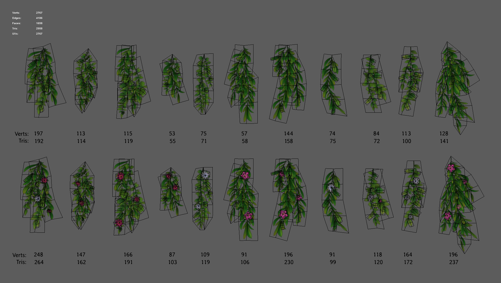 CGD - Foliage - Breakdown