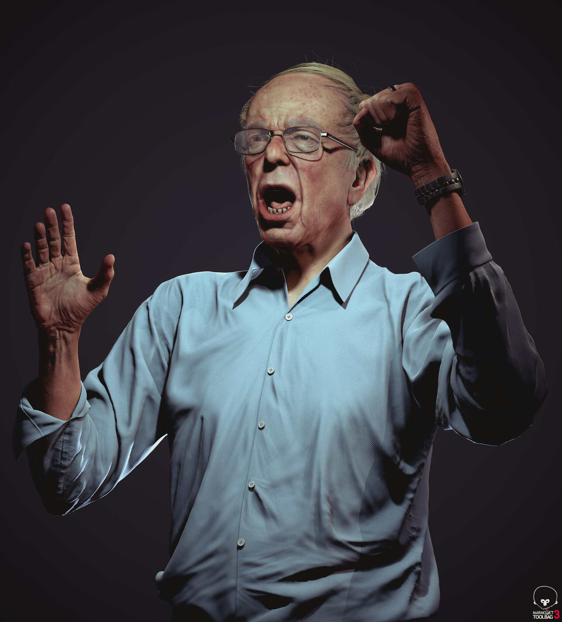 Dan Nacu - Bernie Sanders Portrait