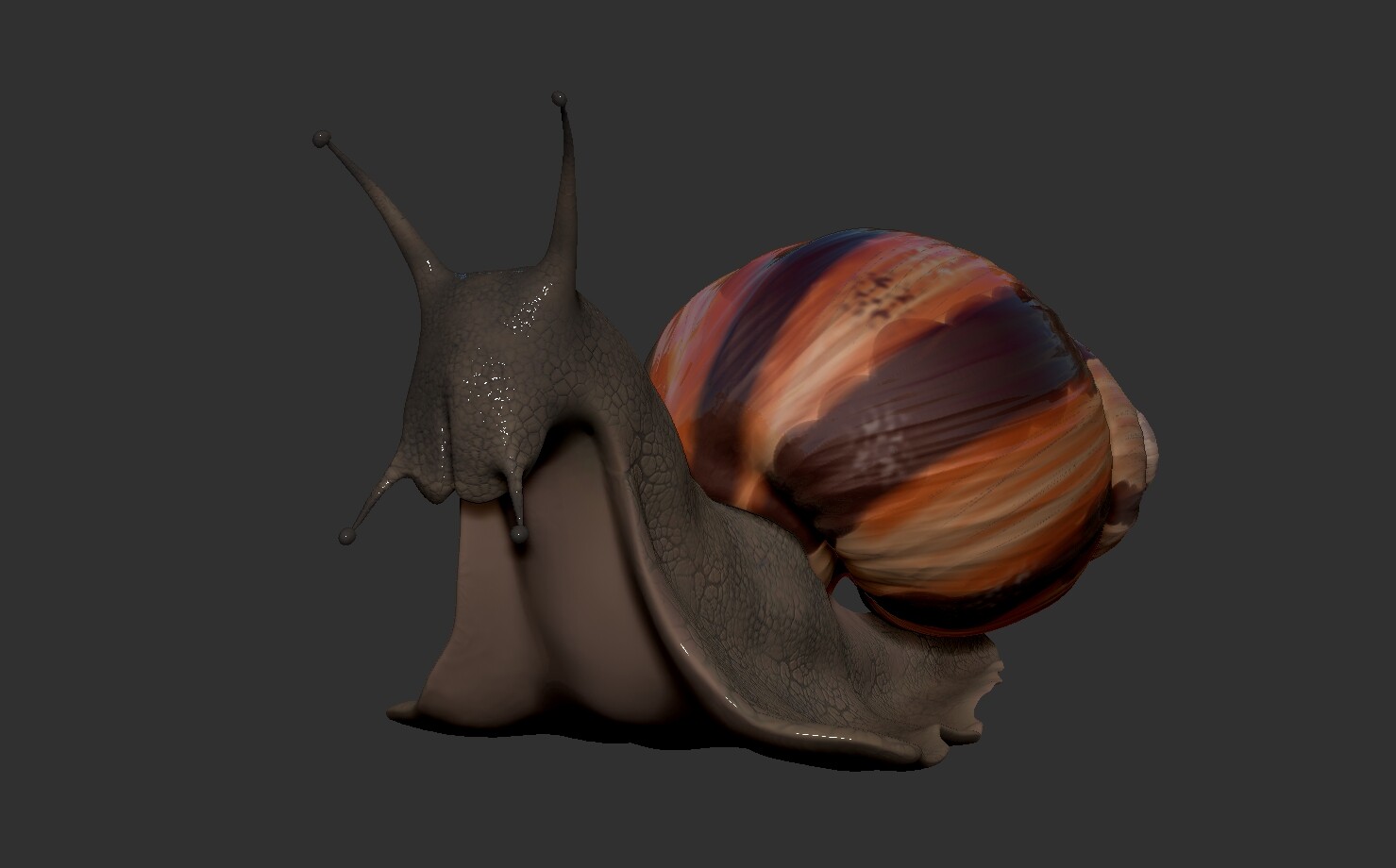ArtStation - Giant Snail Study