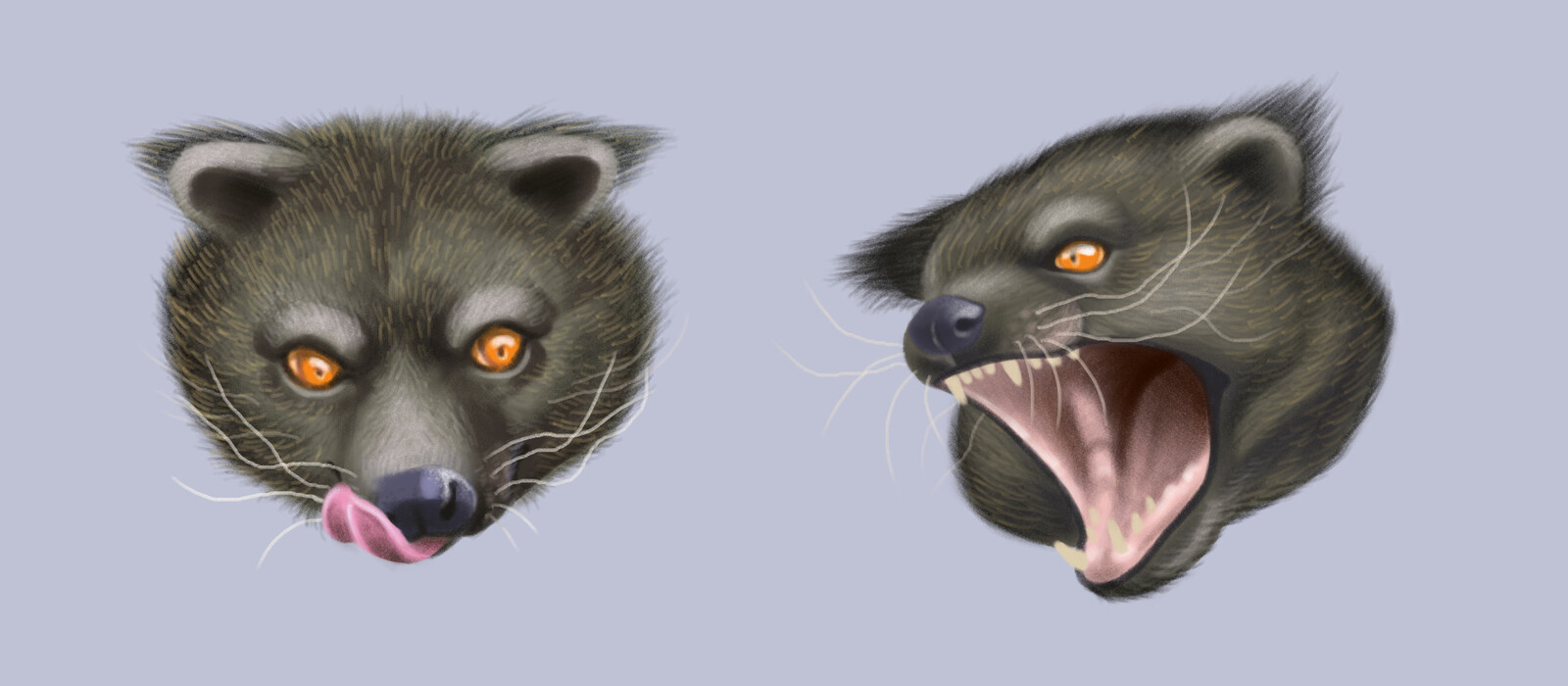 Leonie Herson - Binturong faces