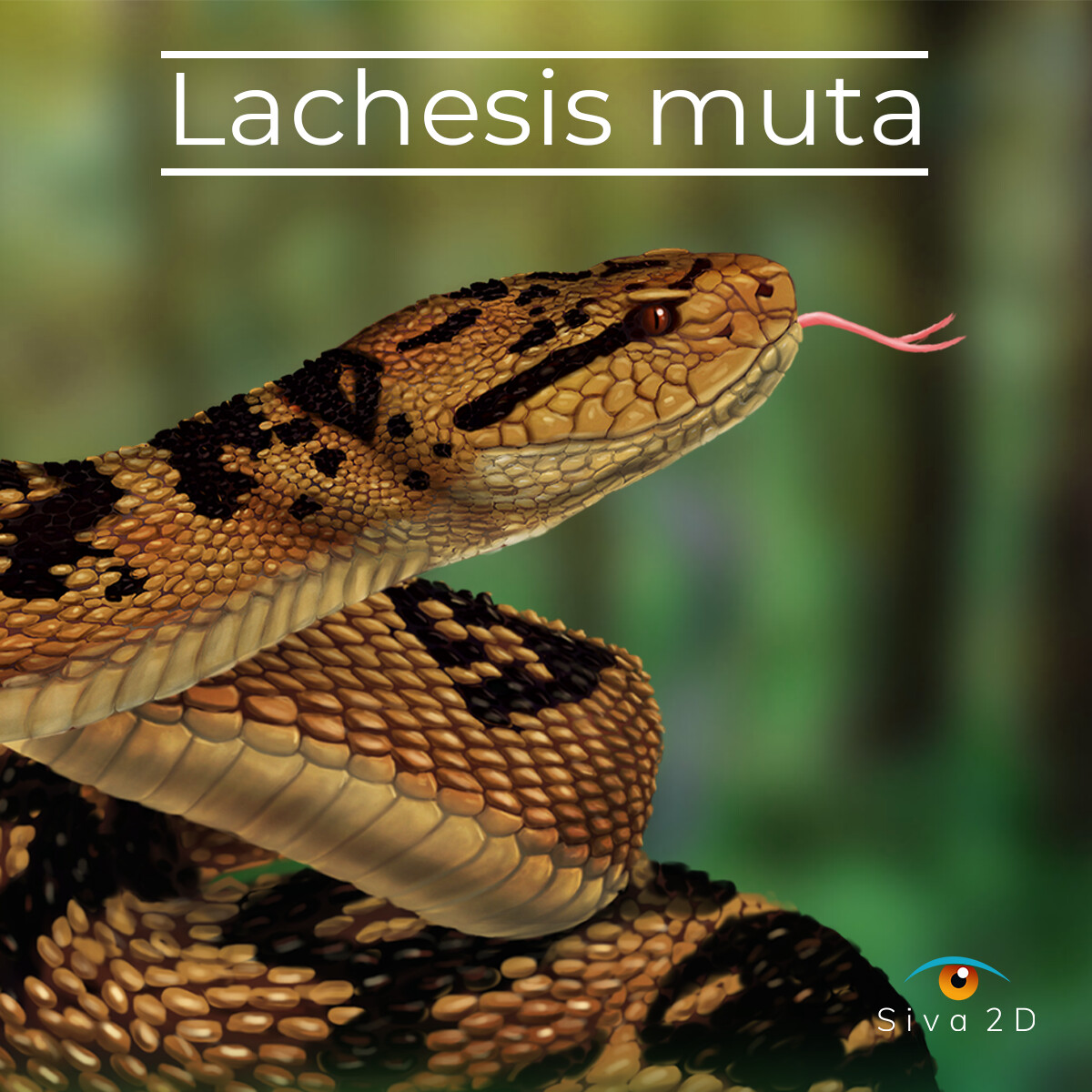 ArtStation - Lachesis muta