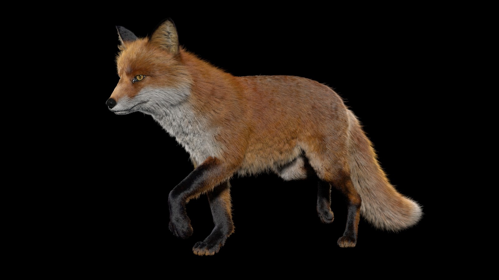 jia honglong - red fox