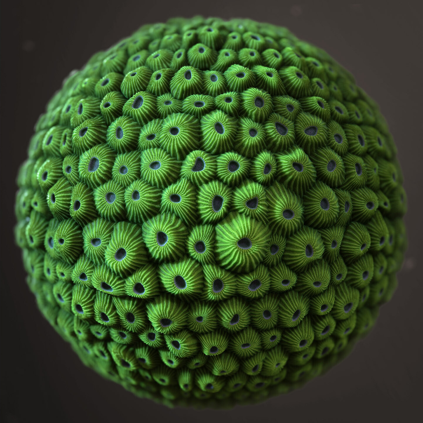 ArtStation - Coral Surface - Substance Designer