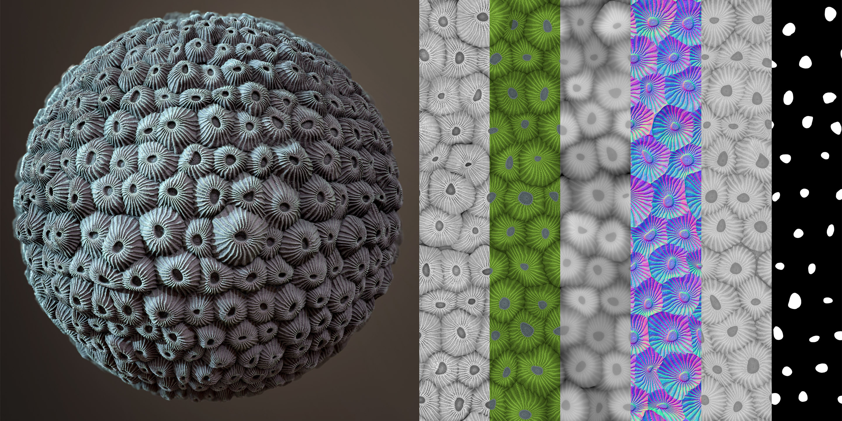 Vladimir Fedorenko - Coral Surface - Substance Designer