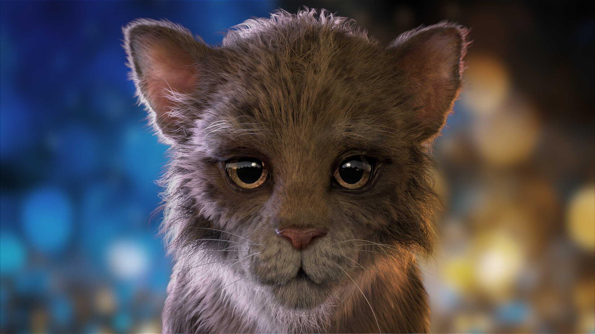 Alejandro Barbosa - Cat