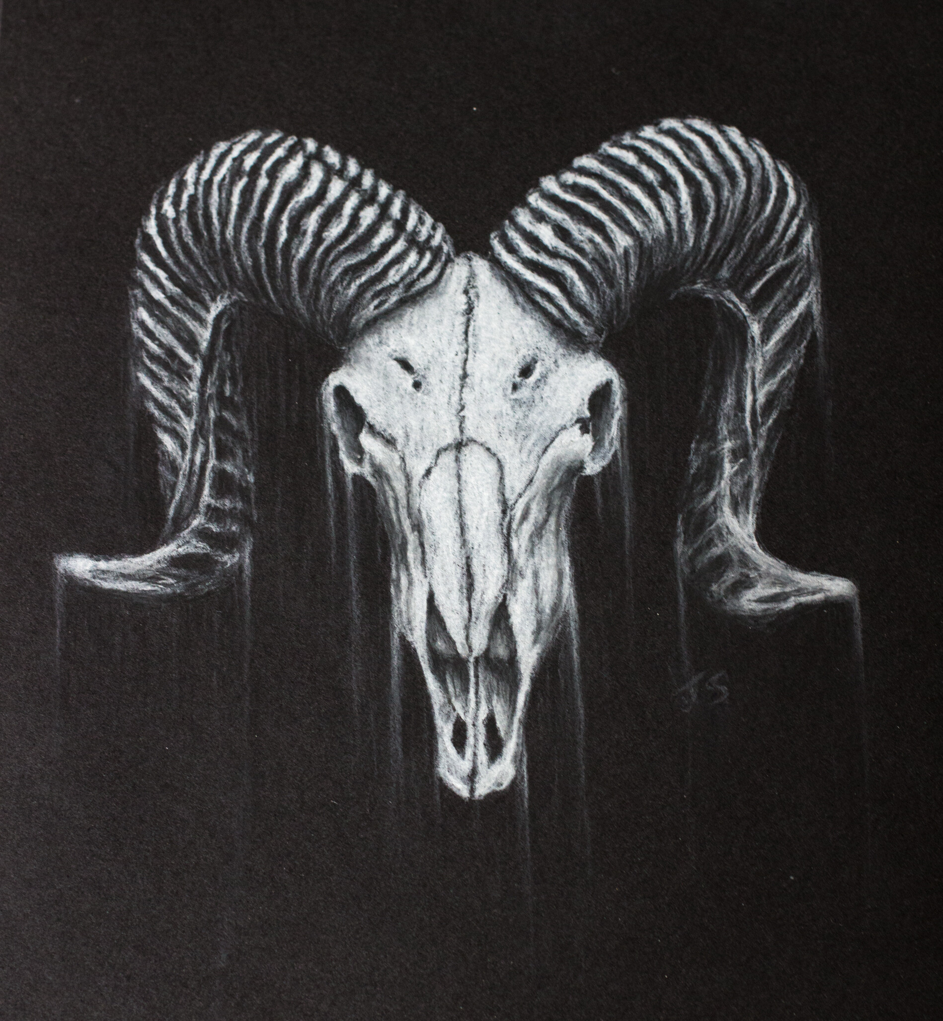ArtStation - Ram skull