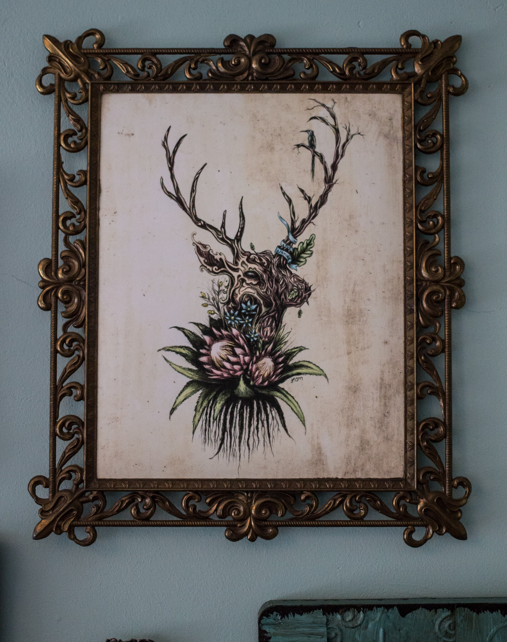 jason slabber - Stag