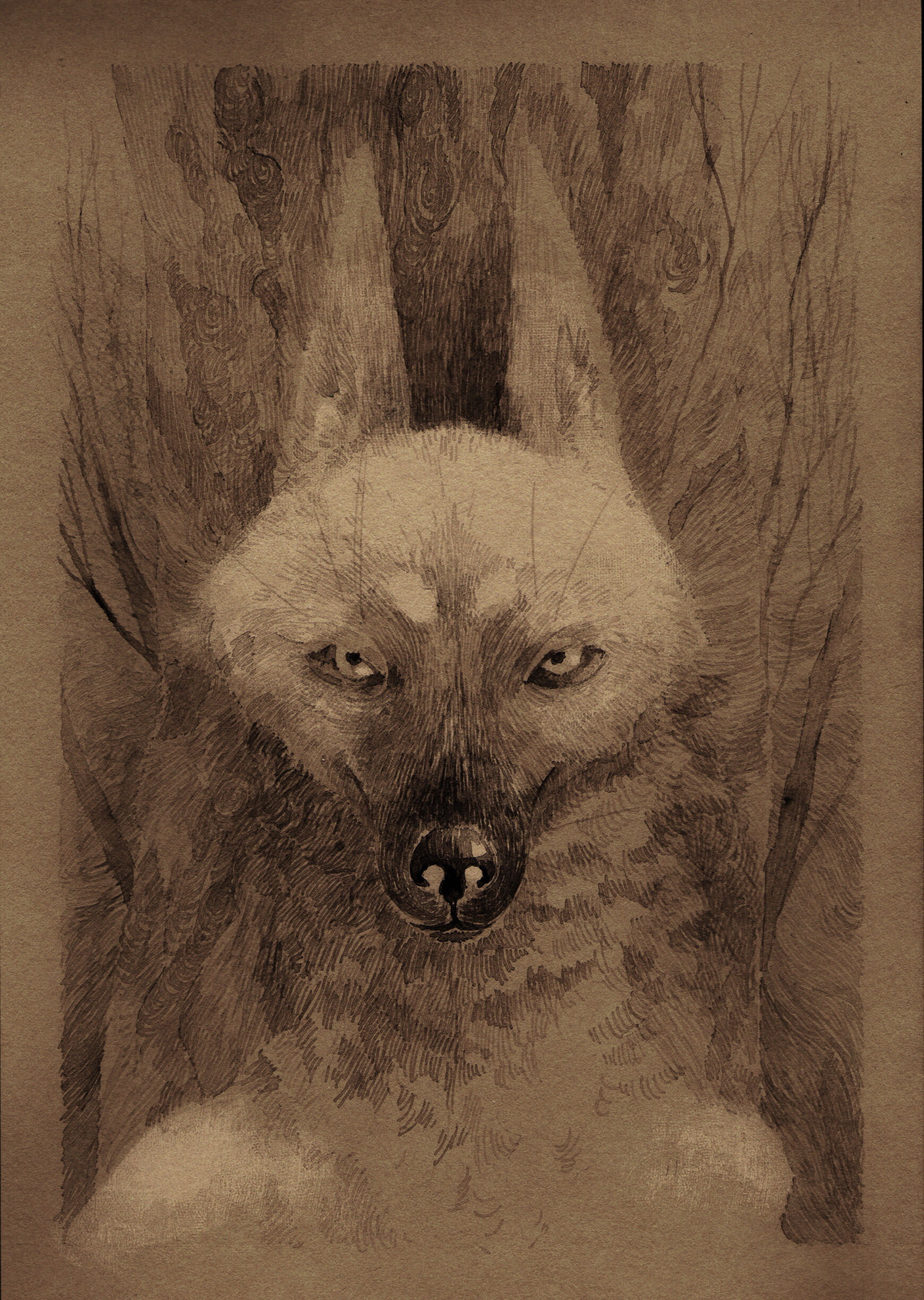 ArtStation - inktober day 02 - Timber Wolf