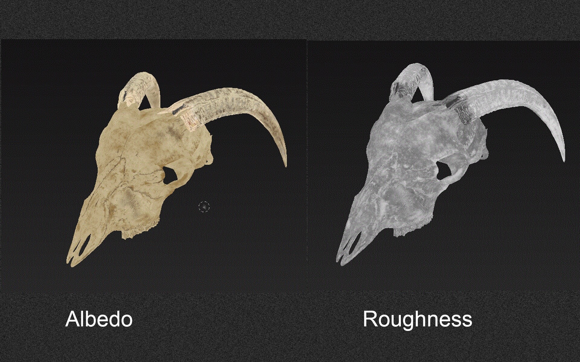 Goat Skull Profile
