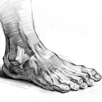 Stan Prokopenko - Portfolio