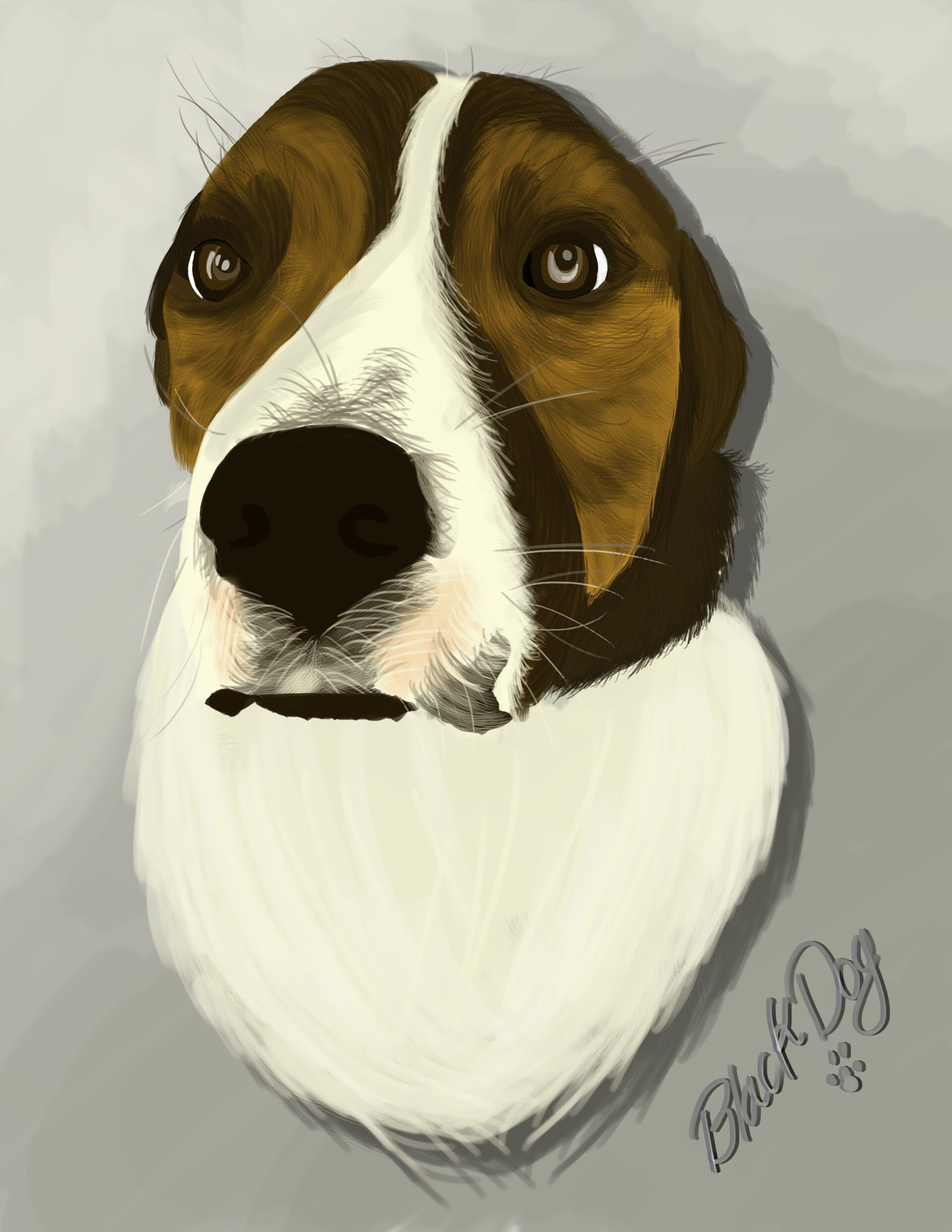 ArtStation - LOKI Dog