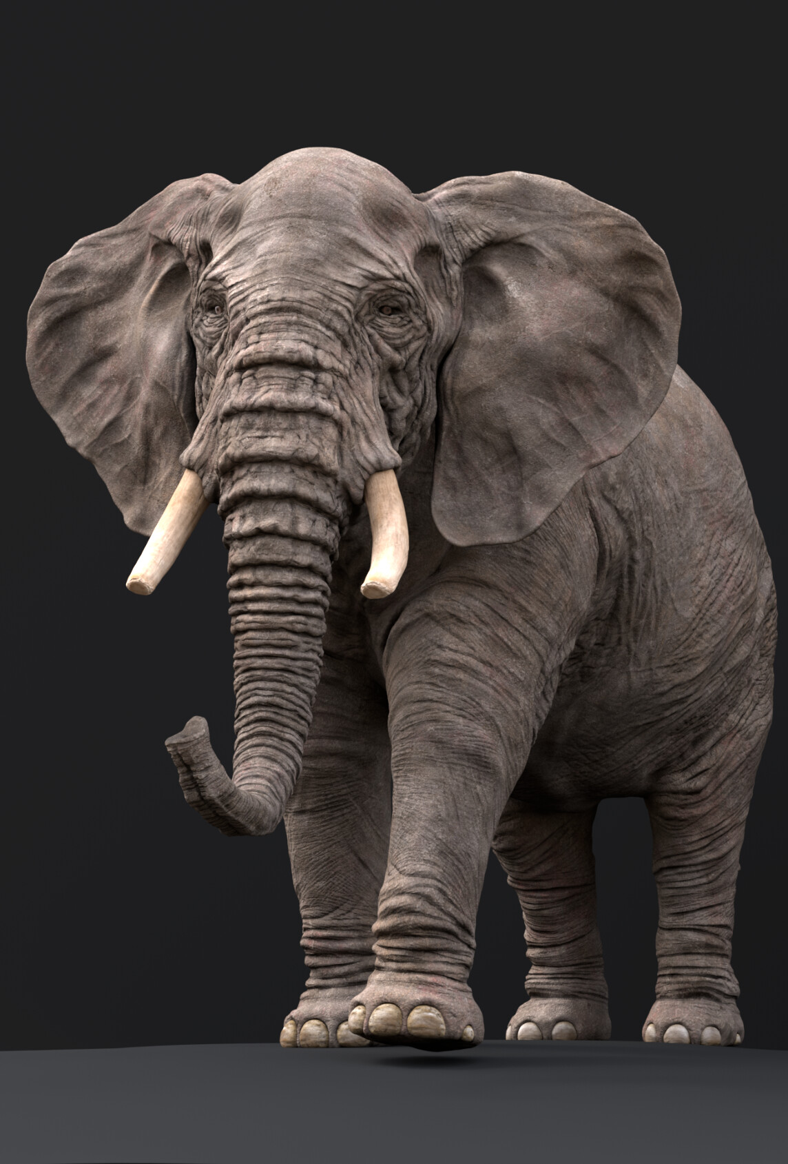 hyung ju yu - elephant lookdev