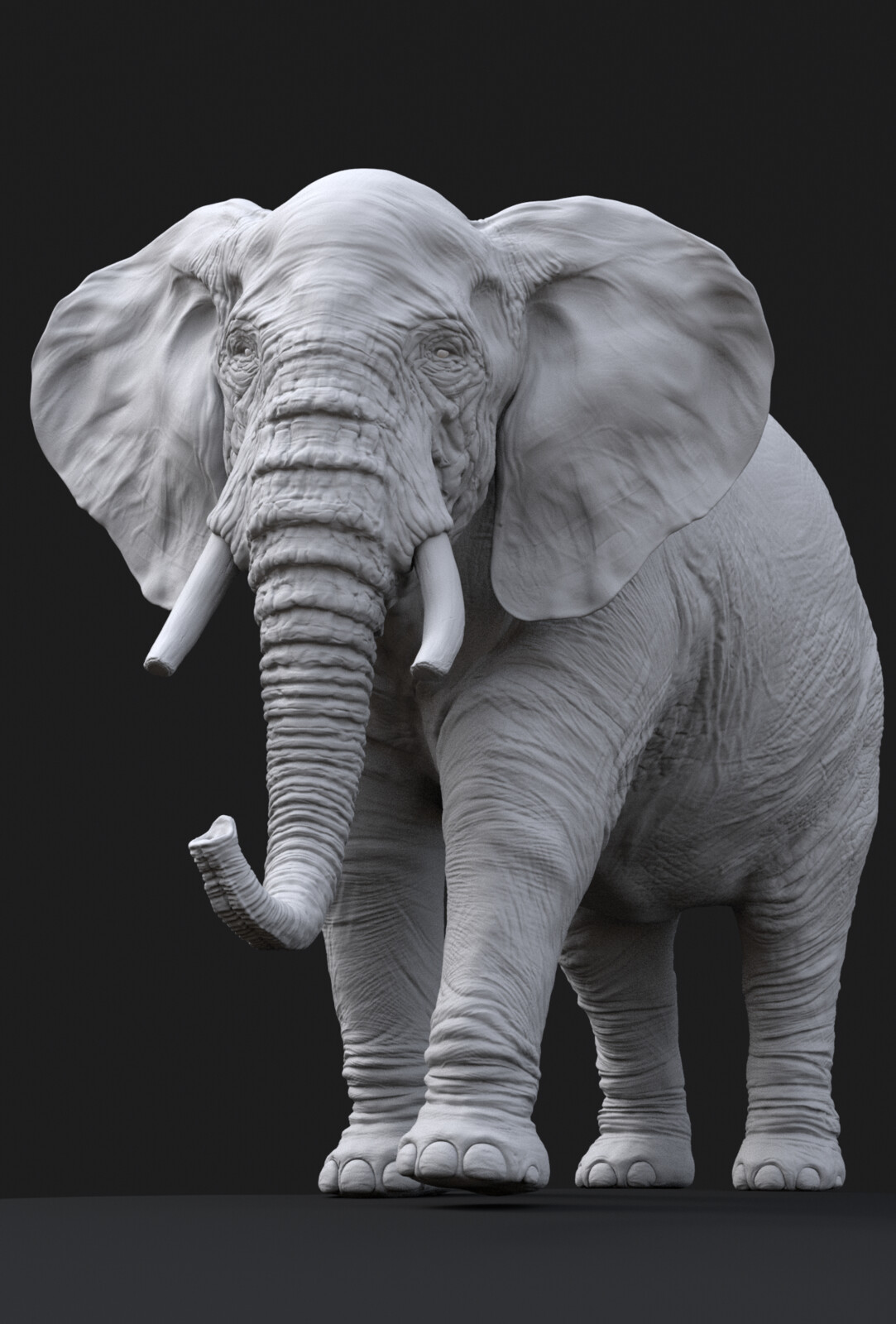 hyung ju yu - elephant lookdev