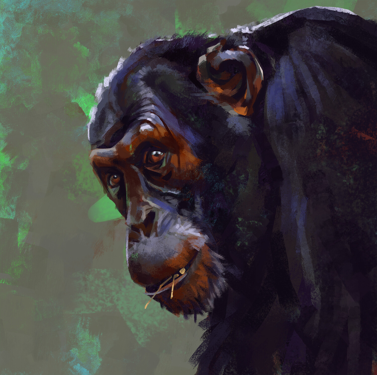 ArtStation - Ape Studies