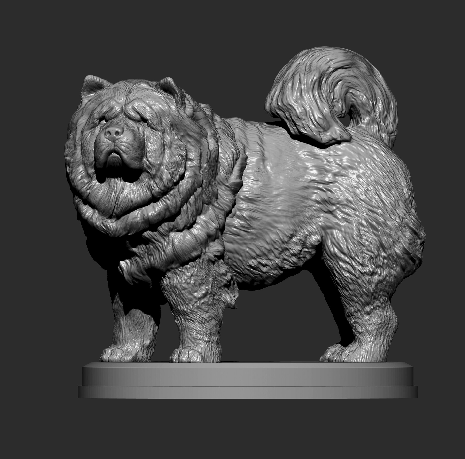 ArtStation - Chow chow