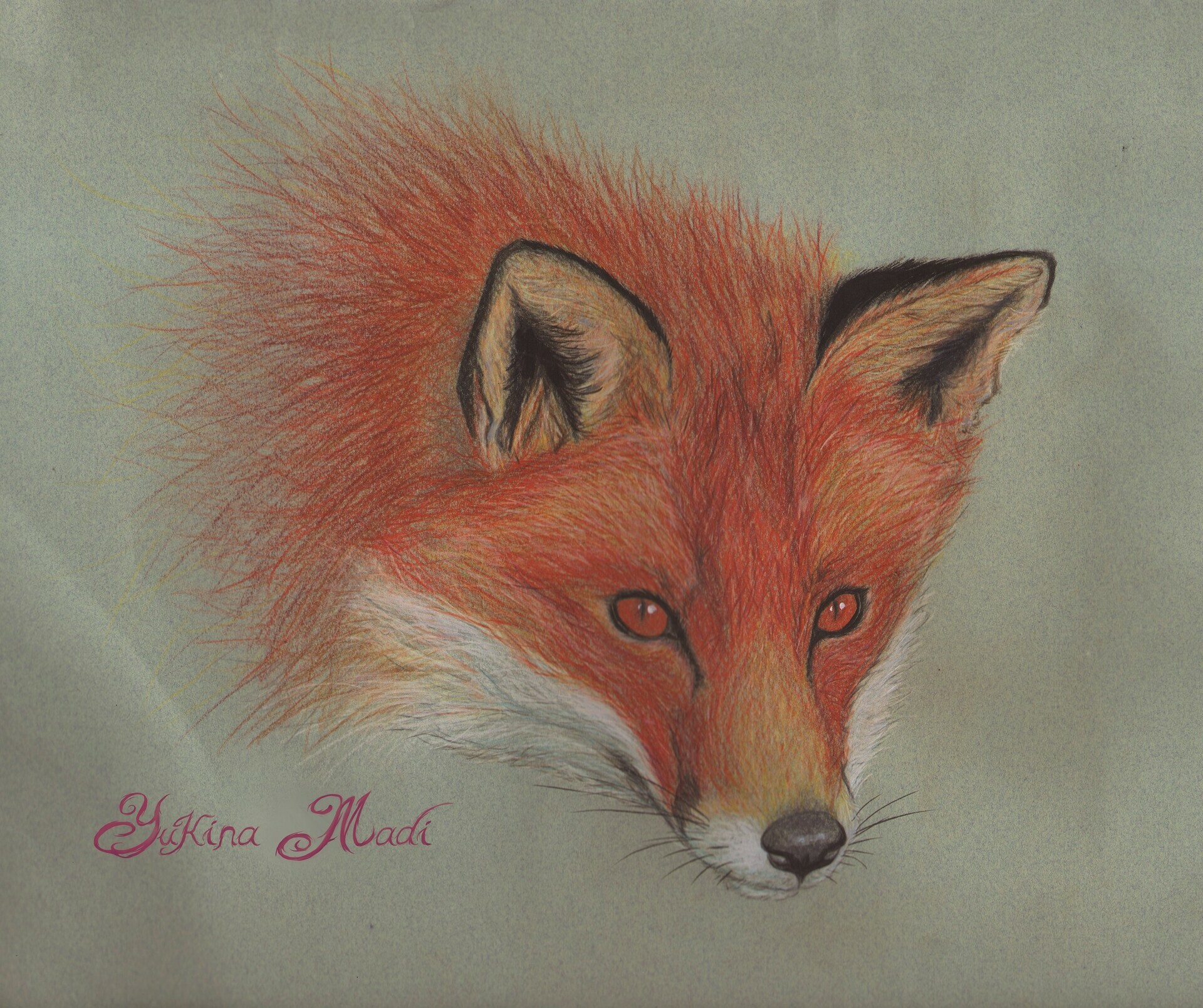 ArtStation - Fox in colored pencils.