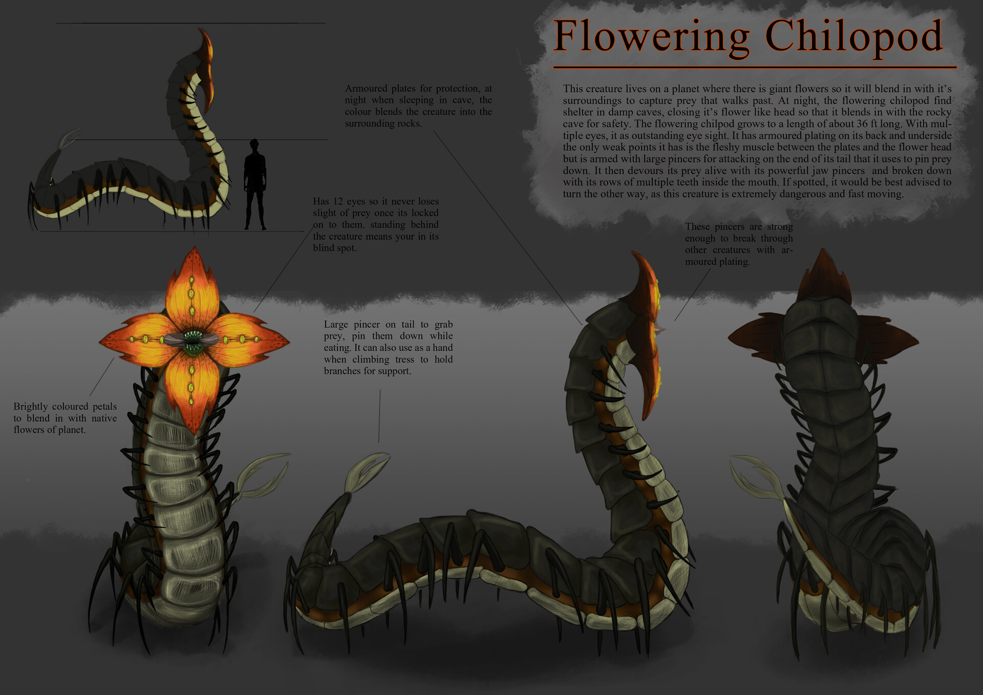 ArtStation - Flowering Chilopod Concept Art
