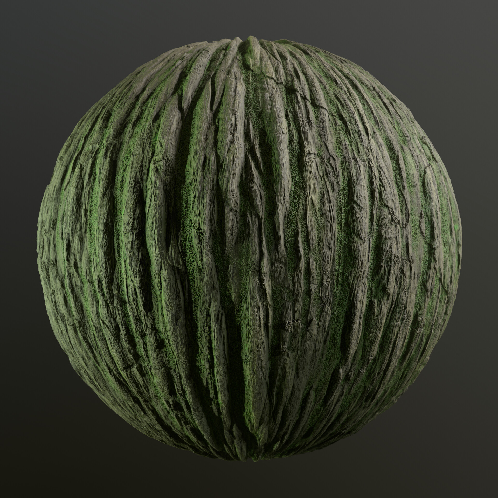 ArtStation - Tree Bark Study