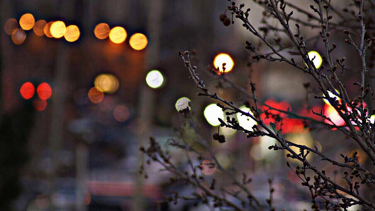 ArtStation - Sunset-ponok