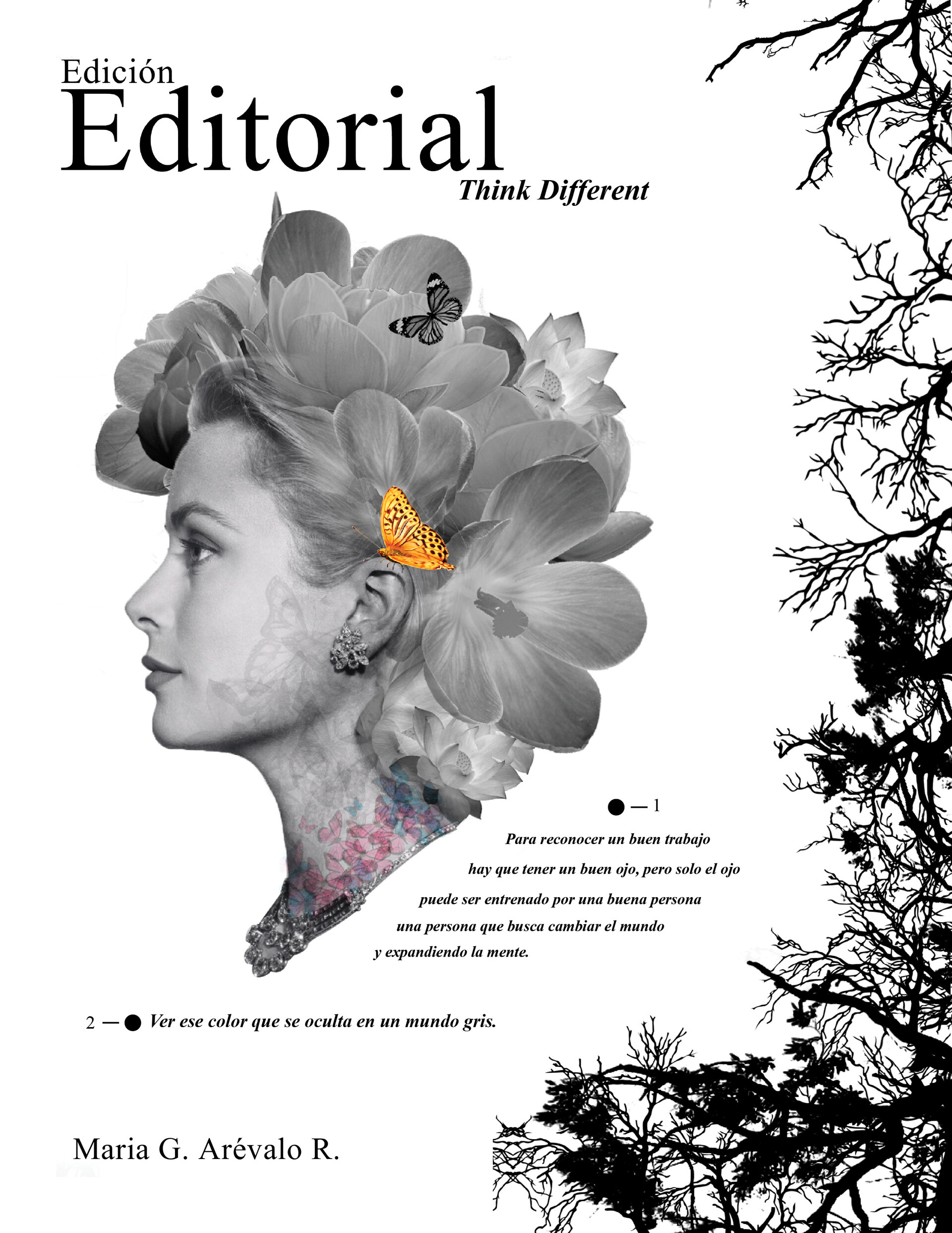 ArtStation - Editorial Cover Book