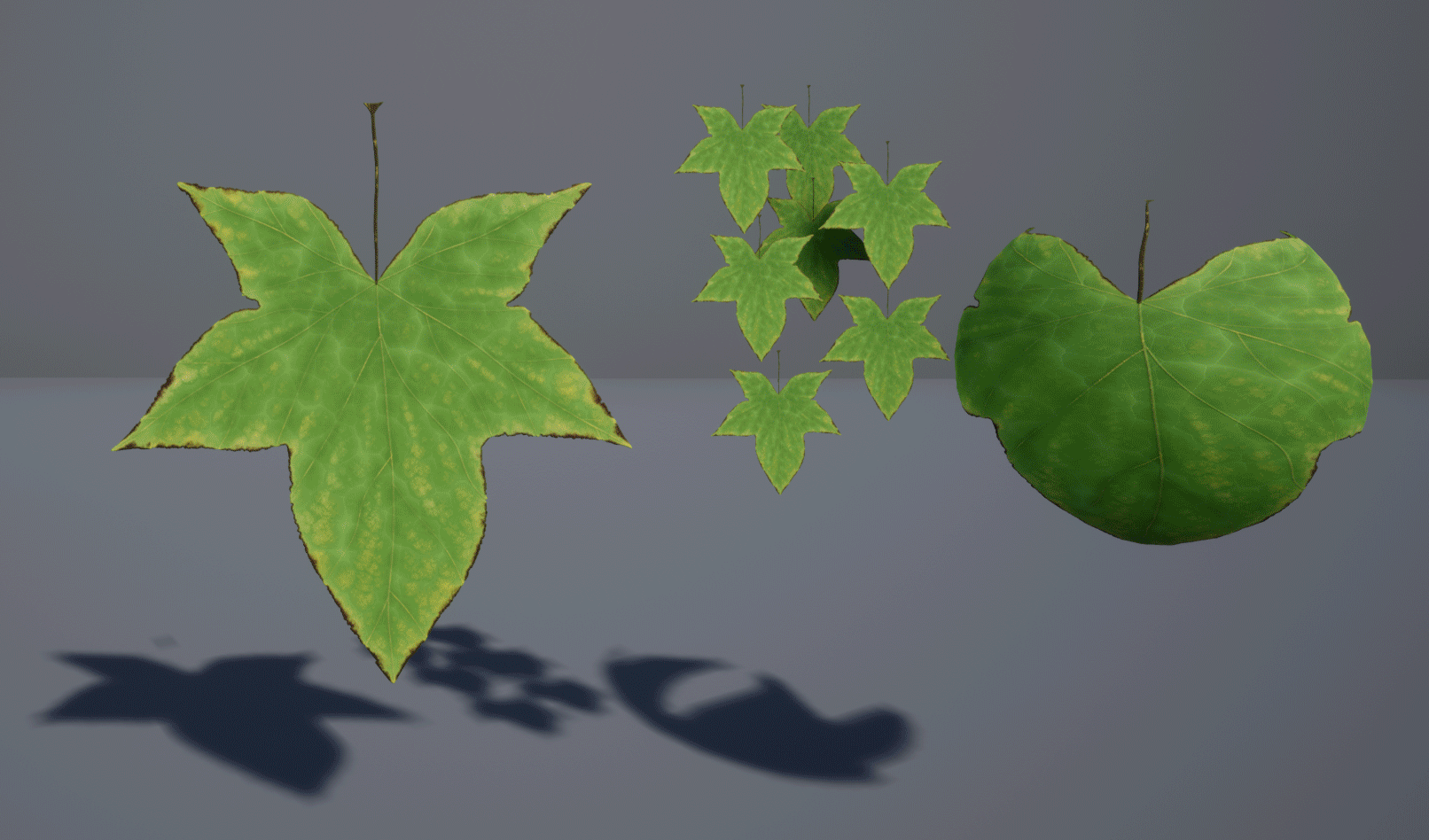 Fabrizio Bergamo - Leaf Generator