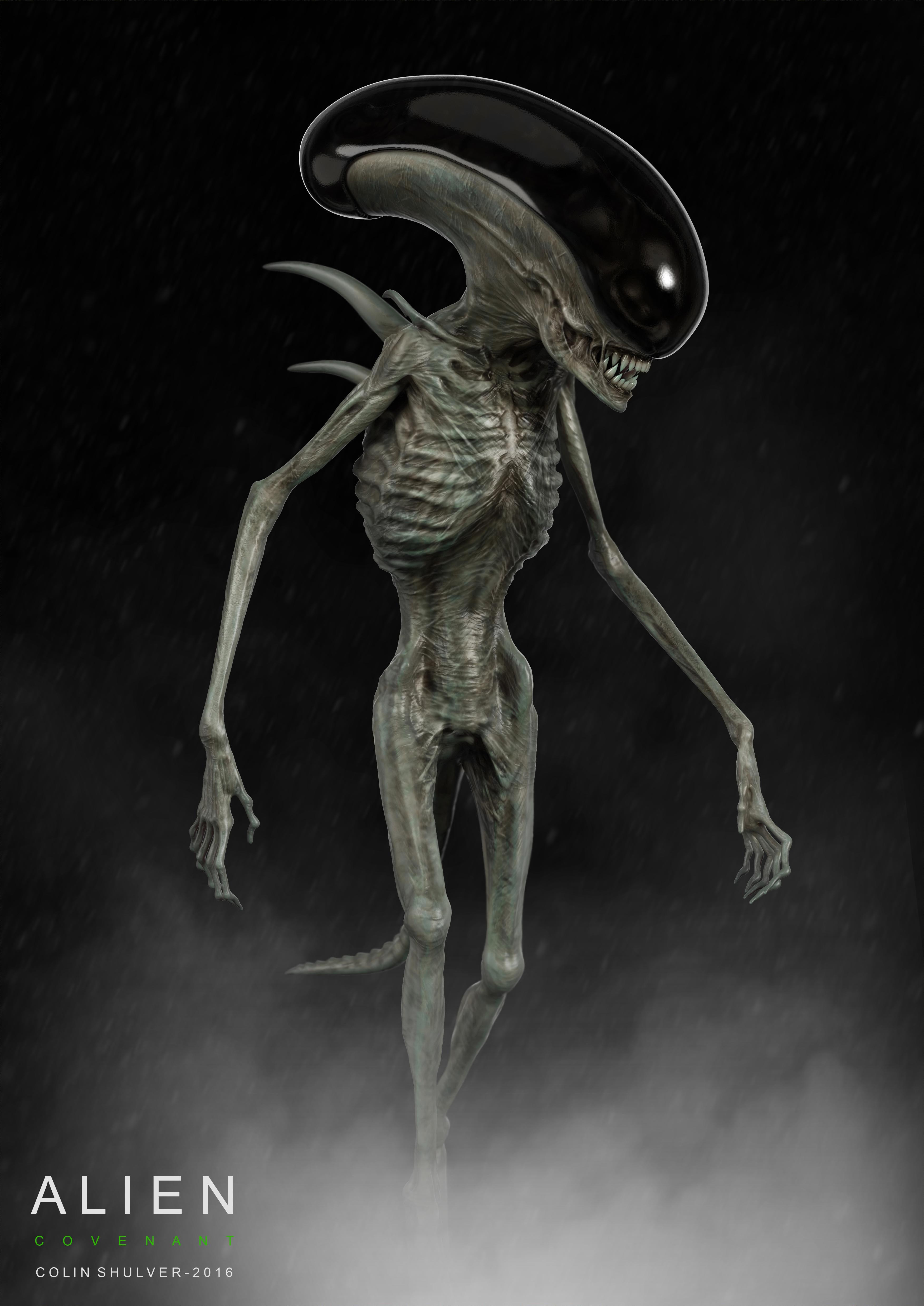 COLIN SHULVER - Alien Covenant - Newborn