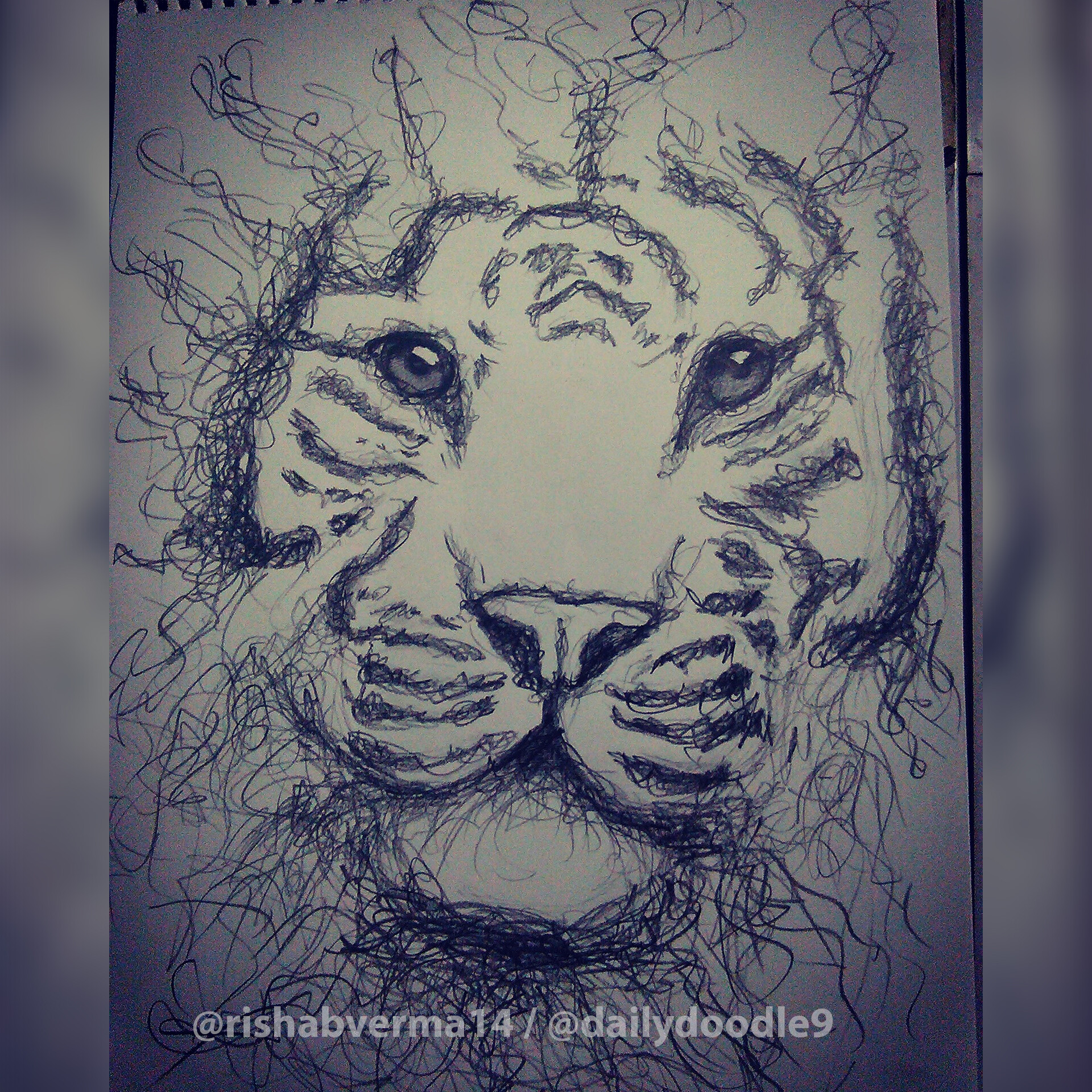 ArtStation - Tiger scribble sketch