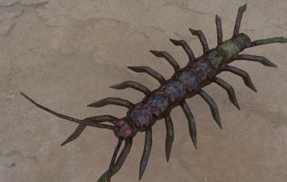 ArtStation - MONSTER centipedes