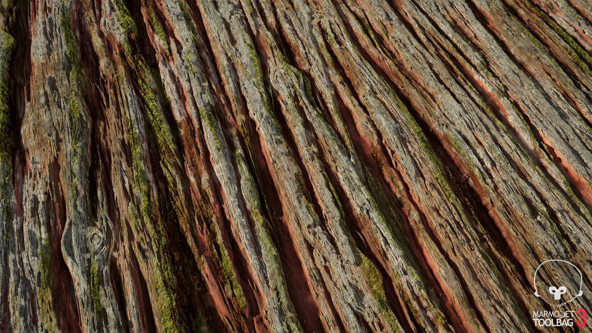 cypress tree bark
