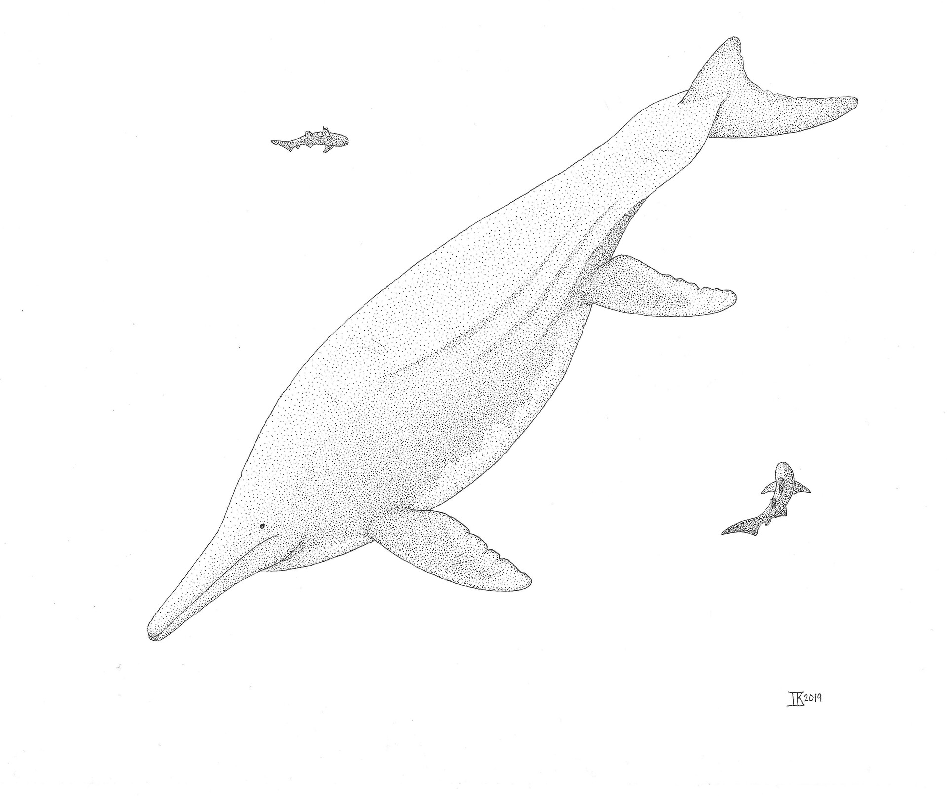 ArtStation - Shonisaurus