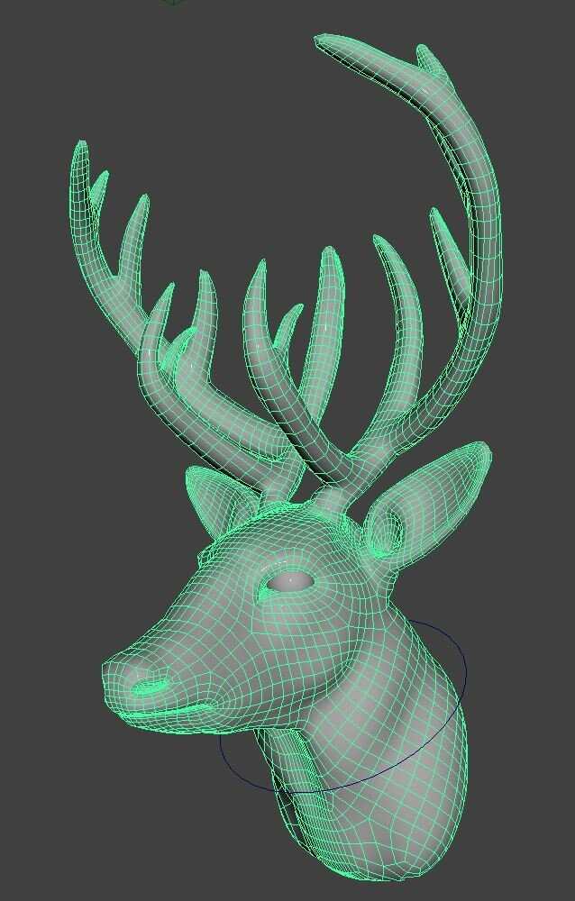 Ryan Sylvester - Deer