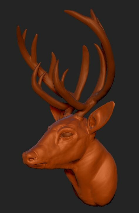 Ryan Sylvester - Deer