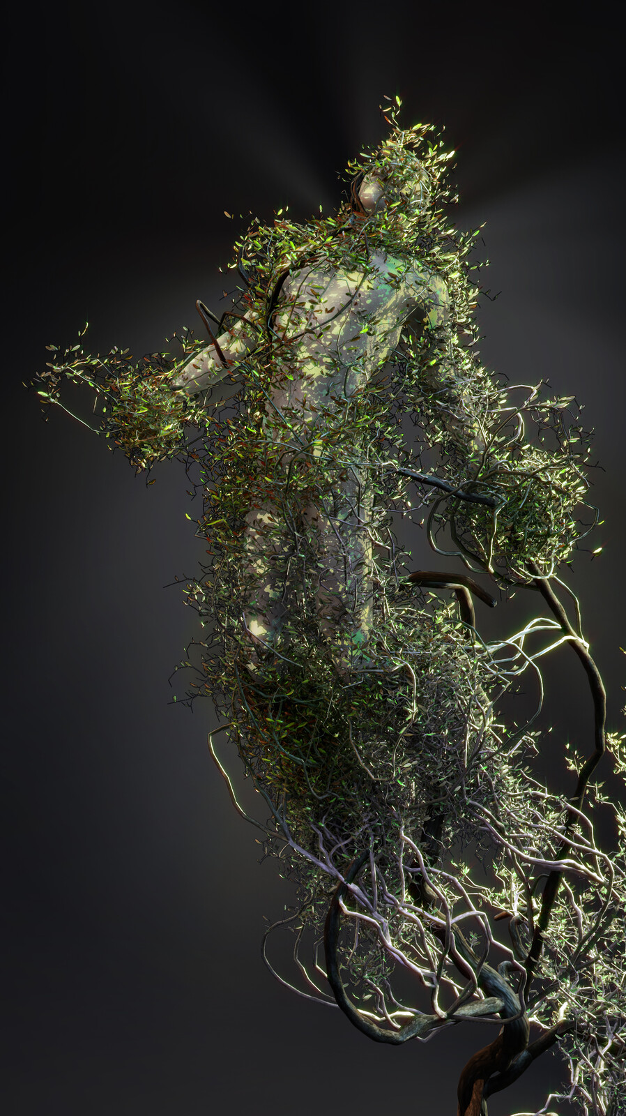 Mehdi DRIDI - Doomed