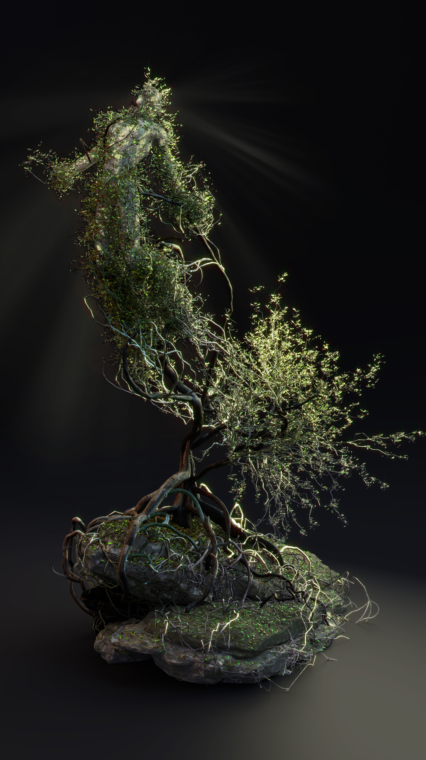 Mehdi DRIDI - Doomed