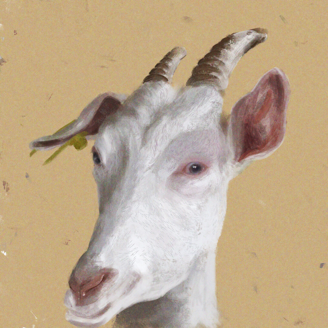 ArtStation - goat study