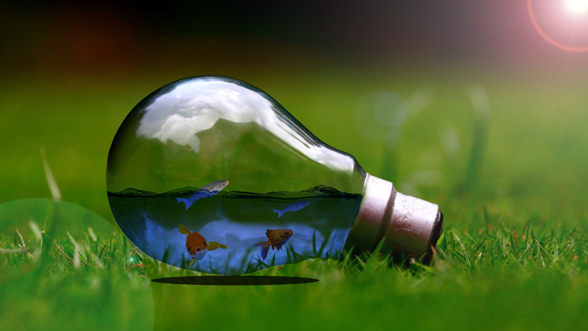 ArtStation - Bulb Manipulation